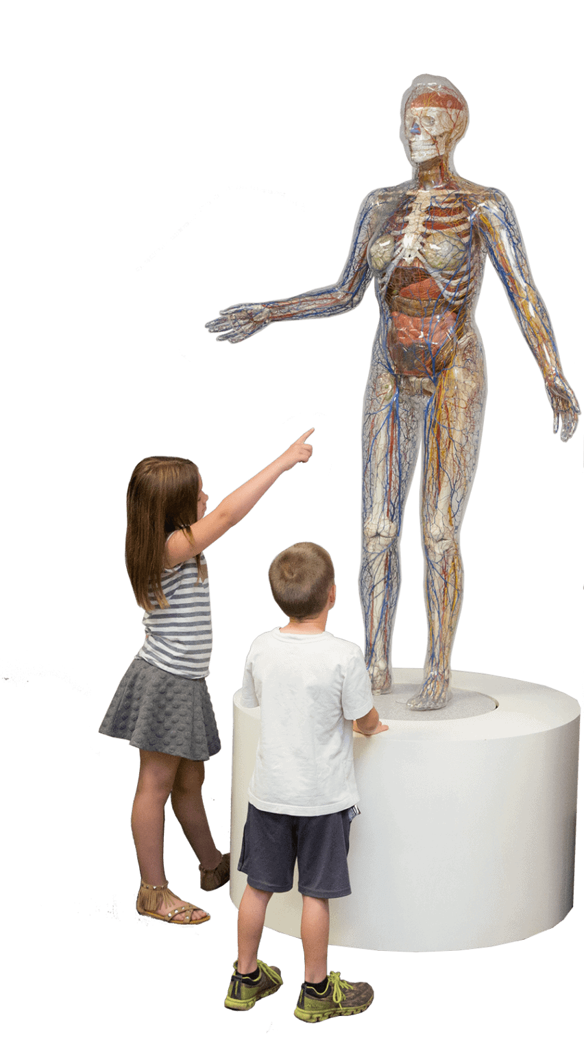 Exhibits | Kansas Learning Center for Health
